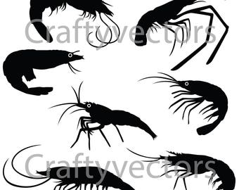 Shrimp Svg File | Etsy