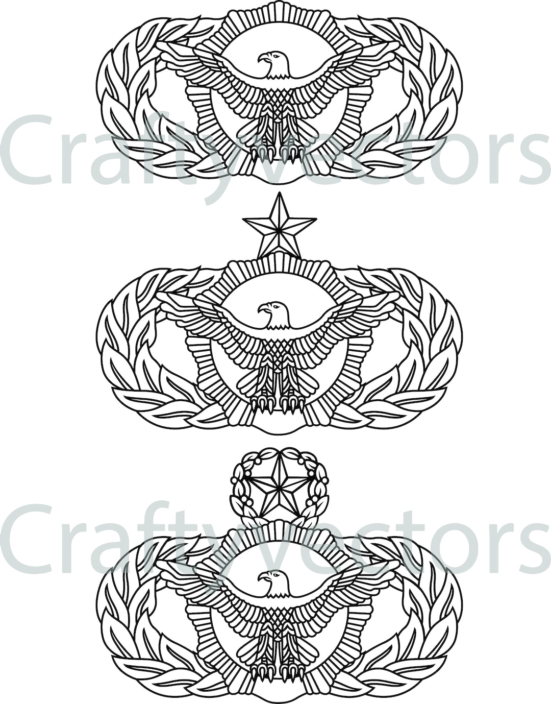 Air Force Security Forces Abu Badge