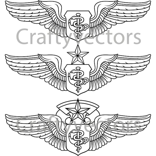 Air Force Flight Nurse Badge - Etsy