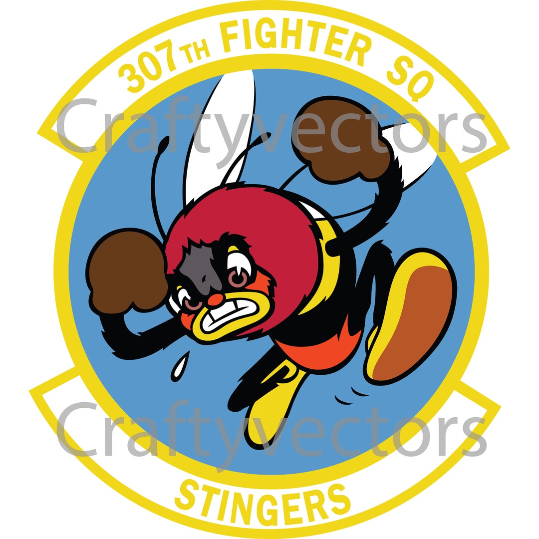 USAF 307th Fighter Squadron Emblem Vector File - Etsy
