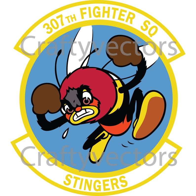 USAF 307th Fighter Squadron Emblem Vector File - Etsy