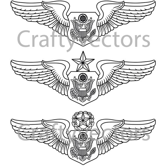 Air Force Pilot Wings Drawing