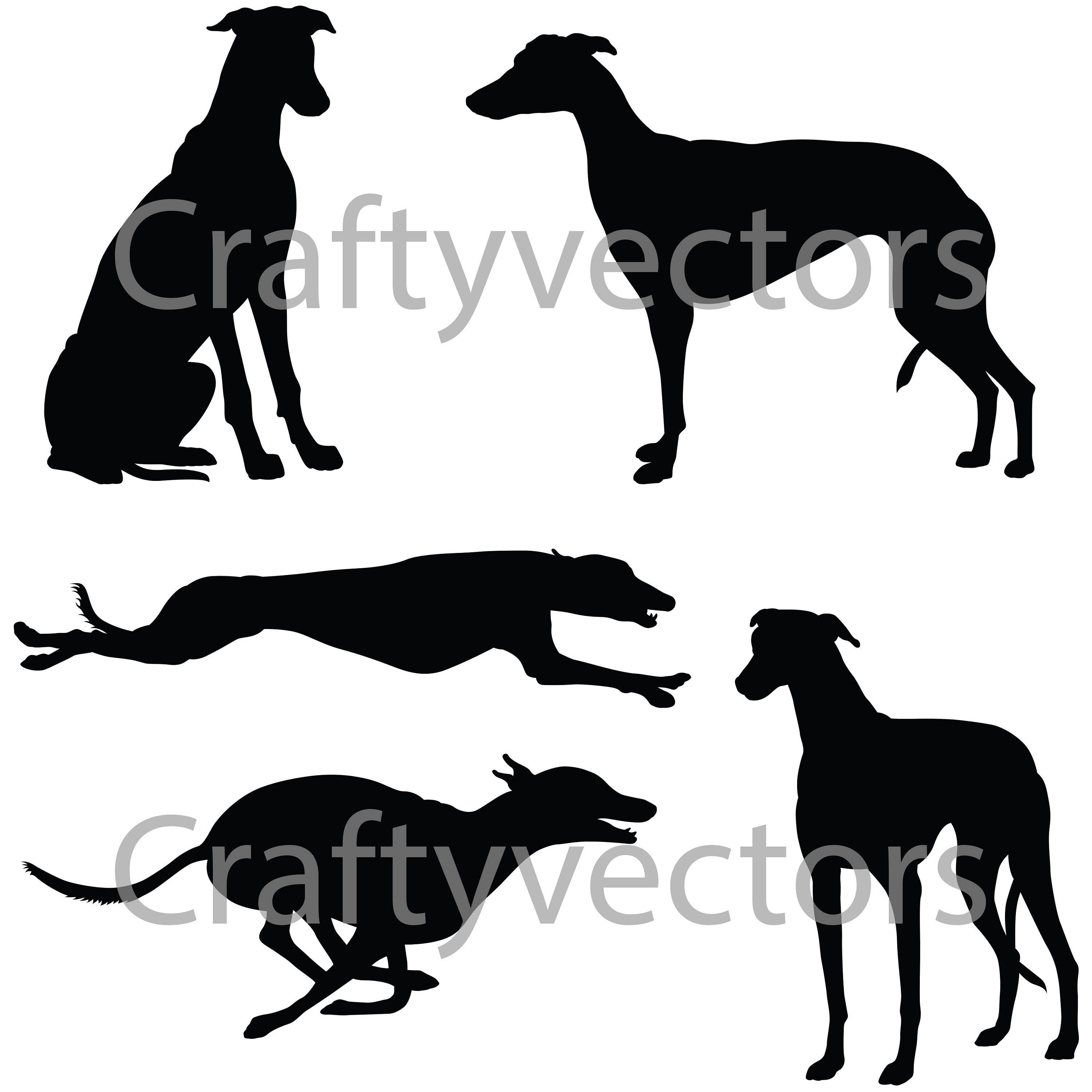 Greyhound Vector