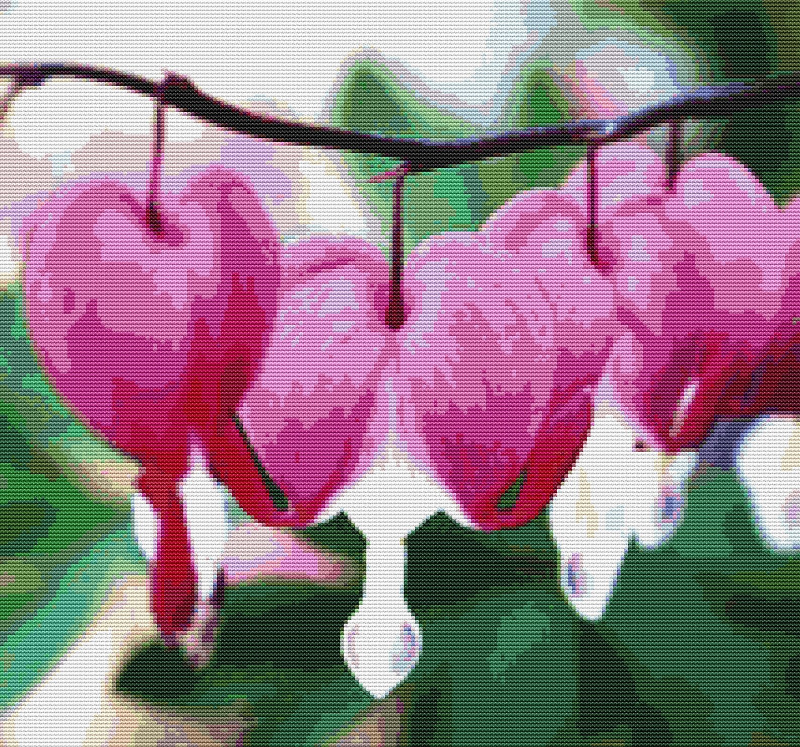 Bleeding Heart Cross Stitch Pattern - Etsy