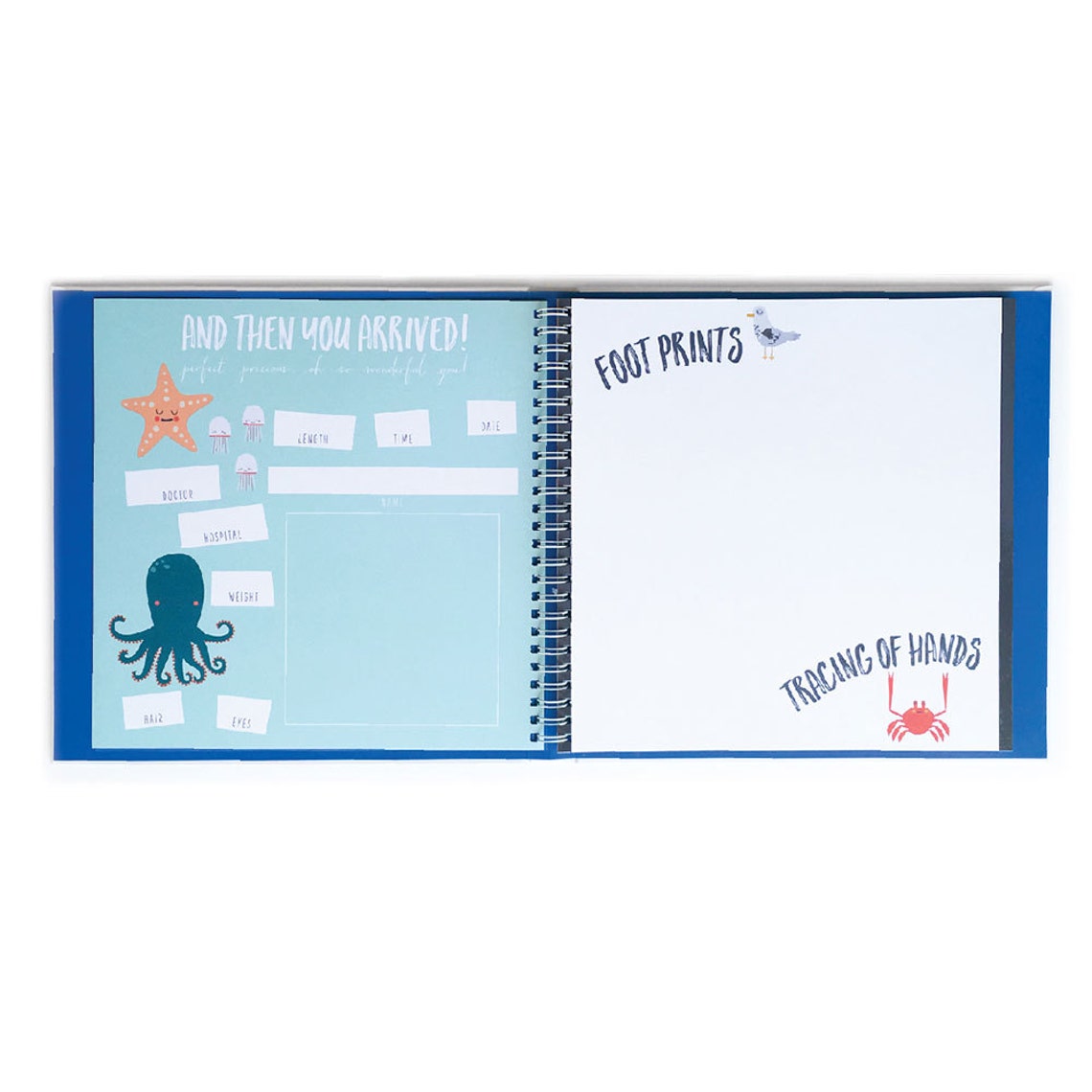Little Captain Nautical Baby Memory Book - Gender Neutral First Year ...
