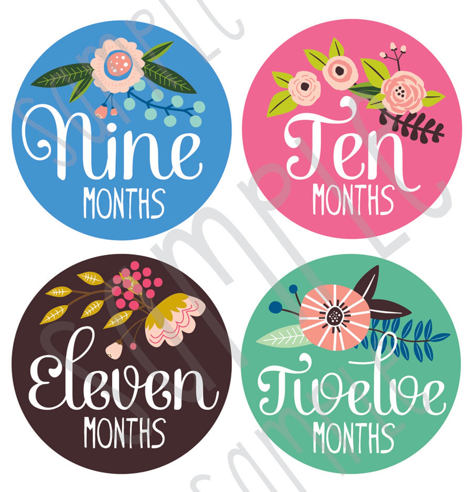 Monthly Baby Stickers Baby Girl Monthly Stickers Floral | Etsy