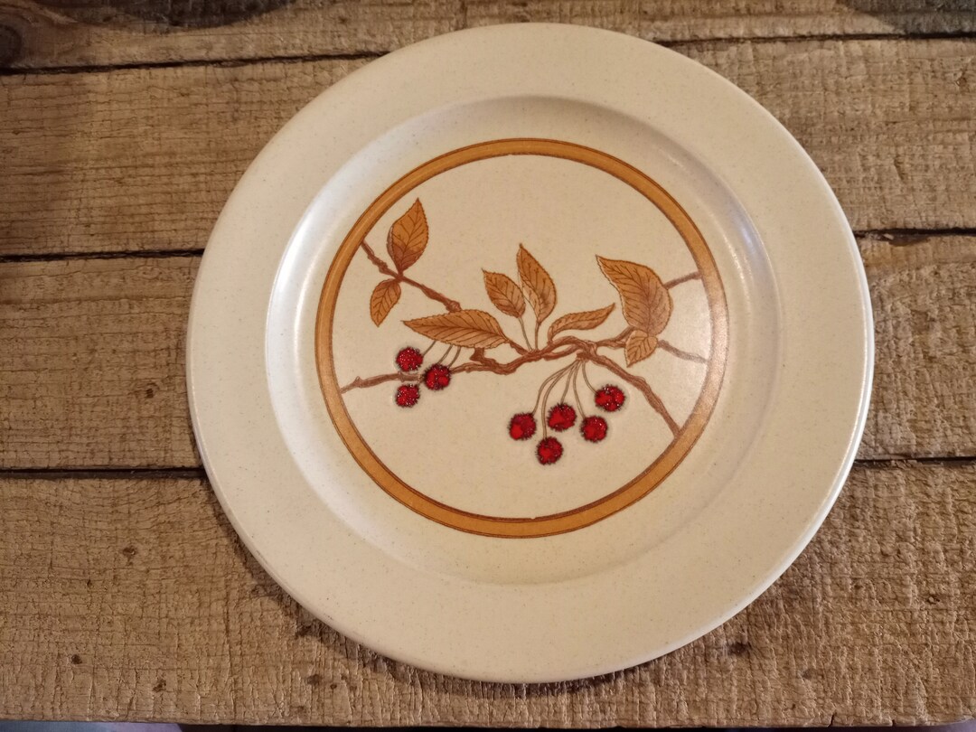 ANCHOR HOCKING Dinner Plate "wild Cherry" Ironstone Speckled Stoneware ...