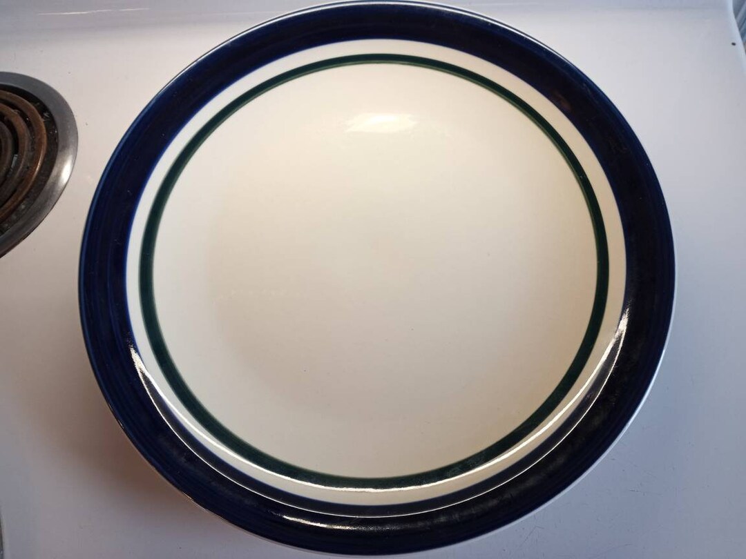TIENSHAN KITCHEN BASICS Colors Platter Large Chop Plate Blue and Green ...