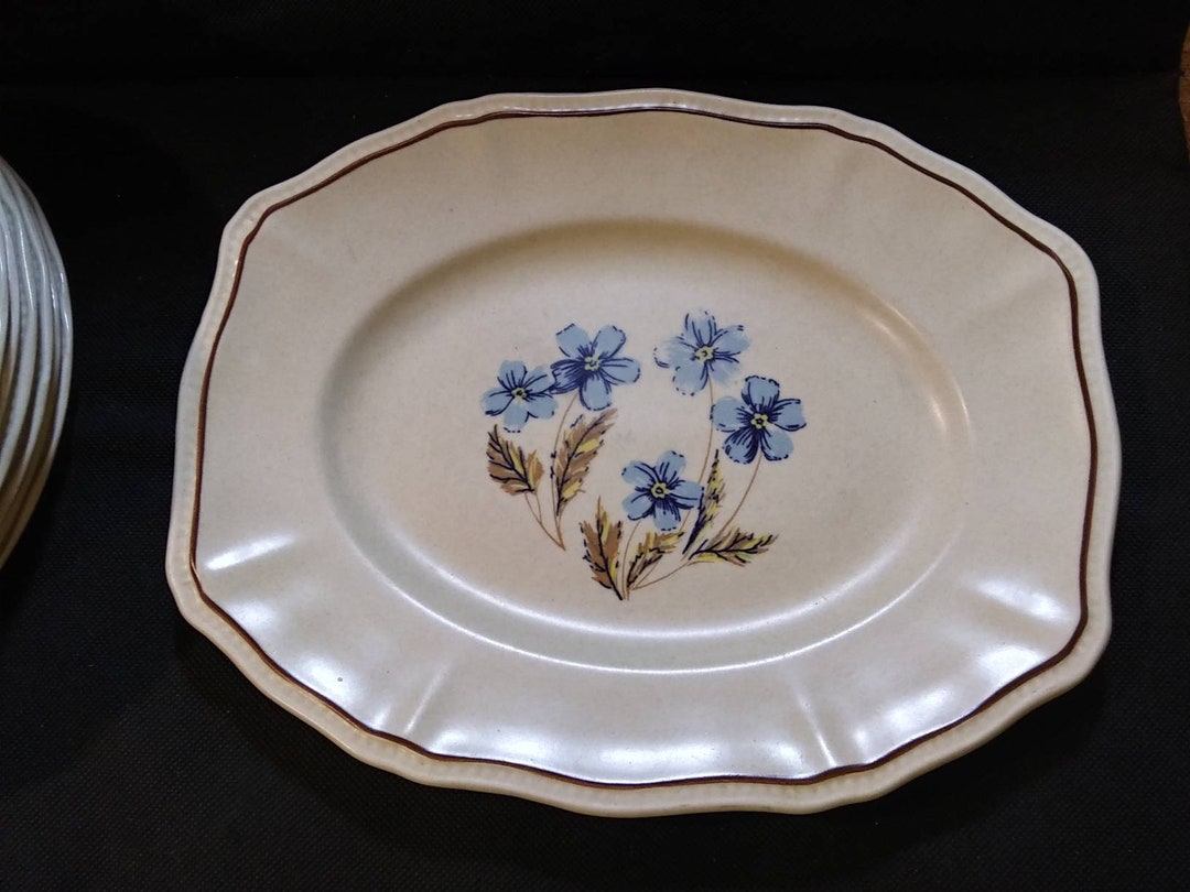 Kensington Staffordshire Ironstone Platter Hyde Park Collection In