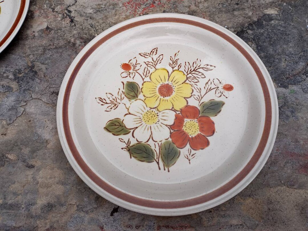 OLD BROOK COLLECTION "stonecreek" Series Stoneware Dinner Plate (1 ...