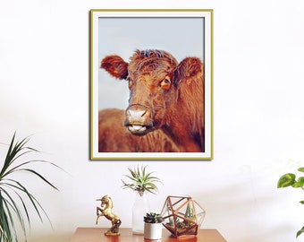 Cow Print Cow Art French Country Decor Farmhouse Decor | Etsy