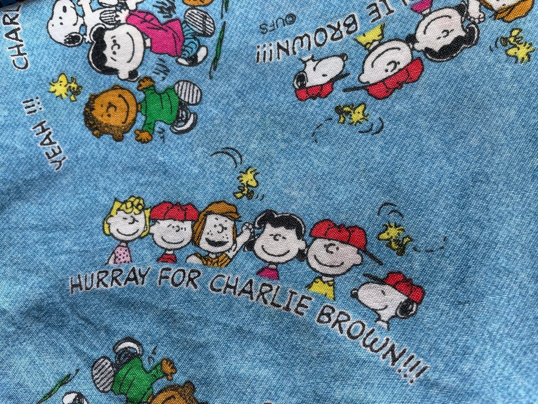 Vintage Peanuts Gang Pillowcases Charlie Brown Snoopy Pillowcase Pair ...