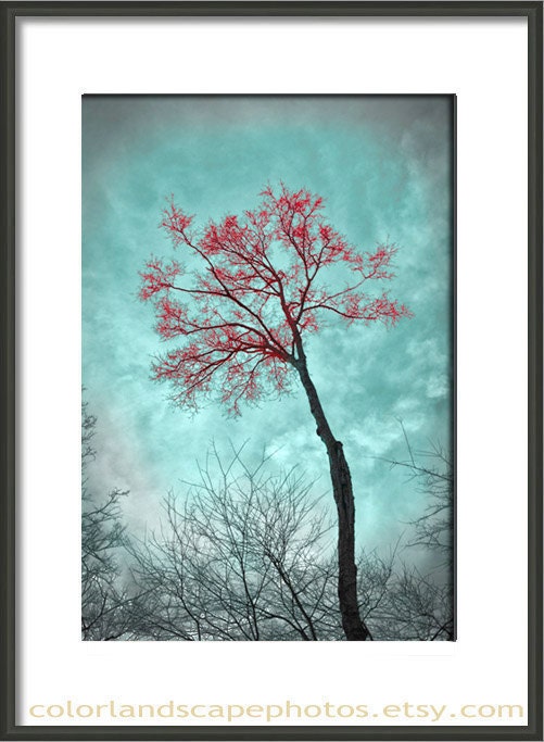 Teal and Red Art landscape Tree Photograph, Forest Teal Home Decor Wall ...