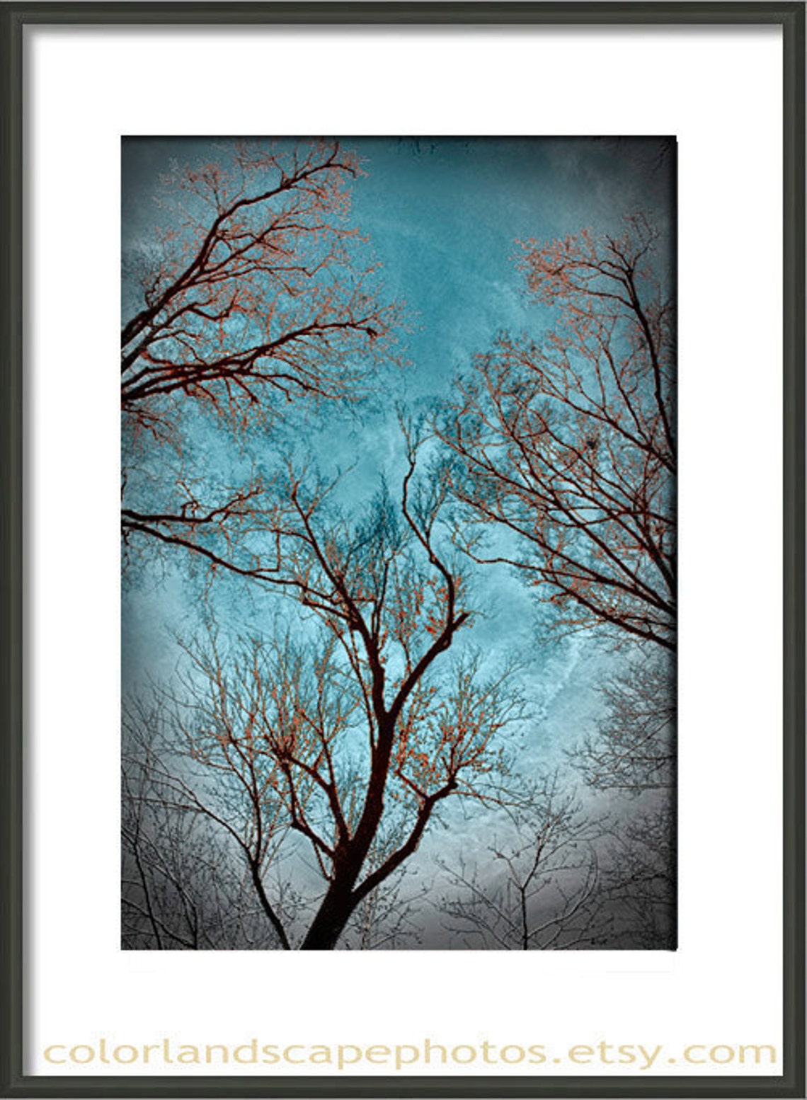 Teal Home Decor - Landscape Photograph, Tree, Forest - Three Trees Wall ...
