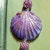 Seashell Bling Hat Pin Brooch Stick Pin Jewelry Accessory Polymer Clay ...