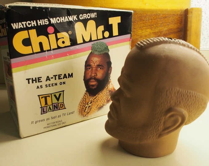 Mr T Chia Pet Head With Box - Vintage TV Land Collectible - 1980's ...