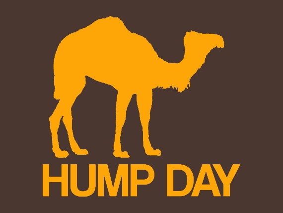 Grumpy Cat Hump Day Camel