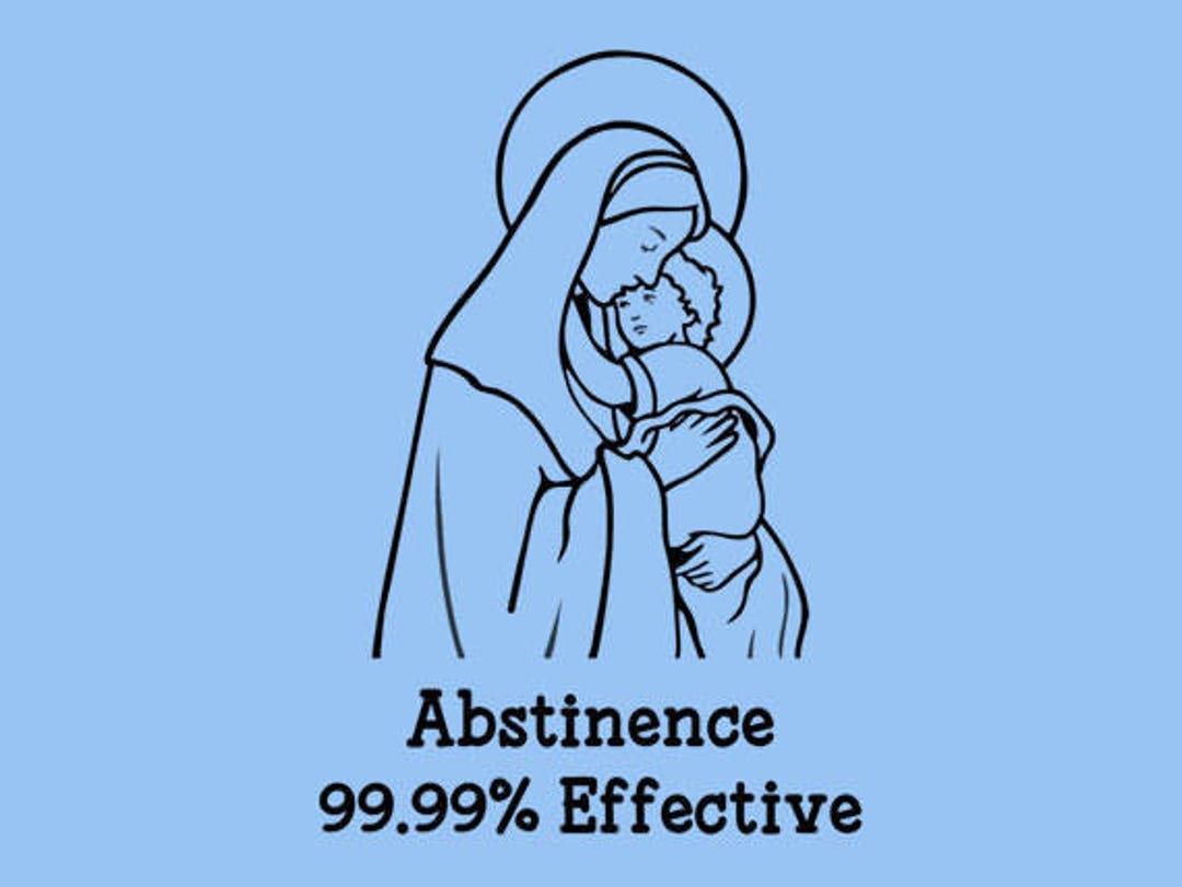 FUNNY T-SHIRT Abstinence 99.99 Percent Effective (also Available on ...