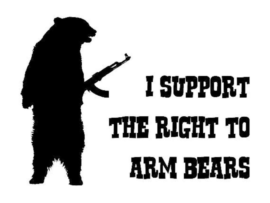 Bear Arms T Shirt 2nd Amendment T Shirt Funny Hunting Tee Saying I ...