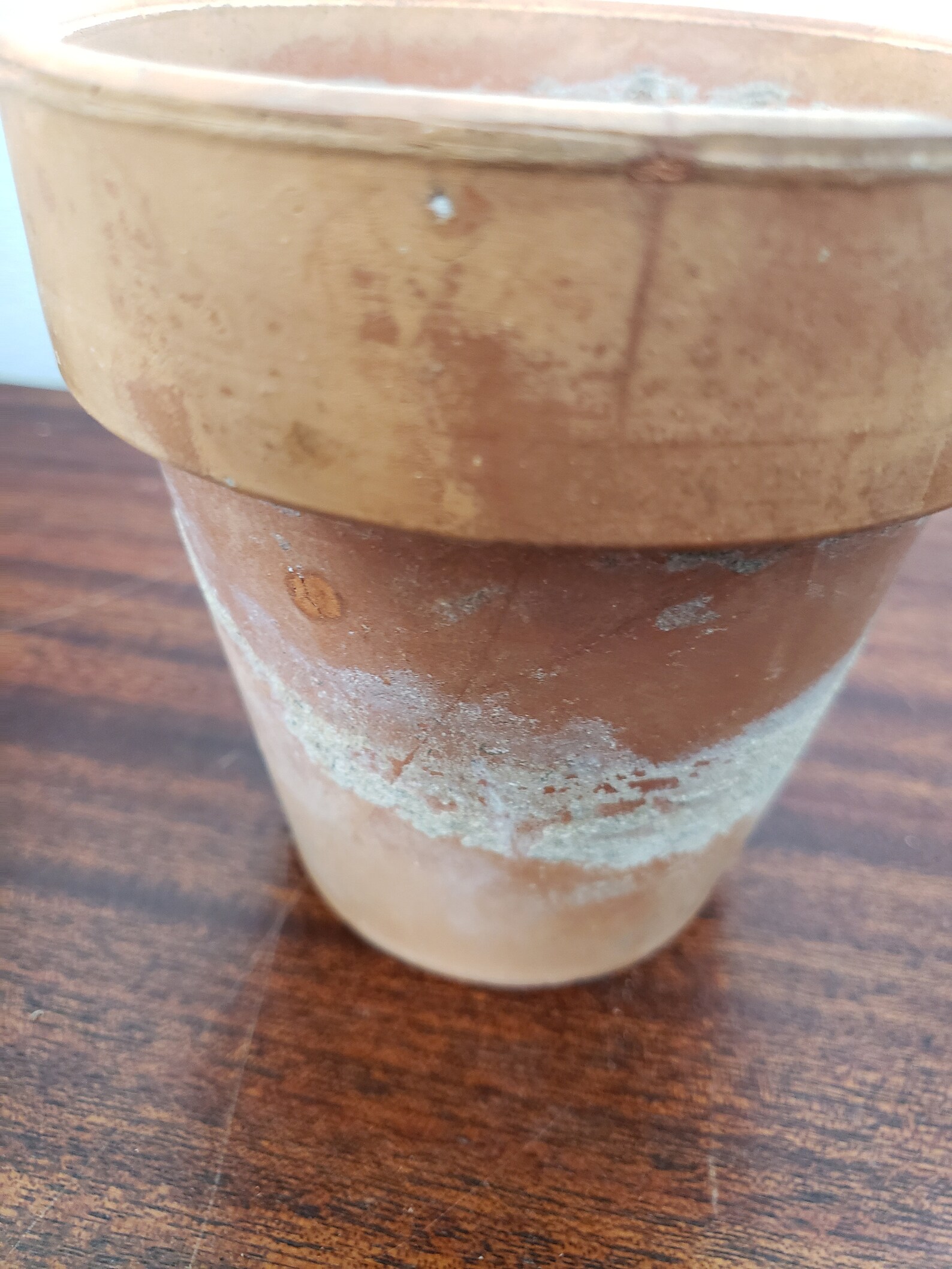 Vintage Clay Pot With Birds Nest - Etsy