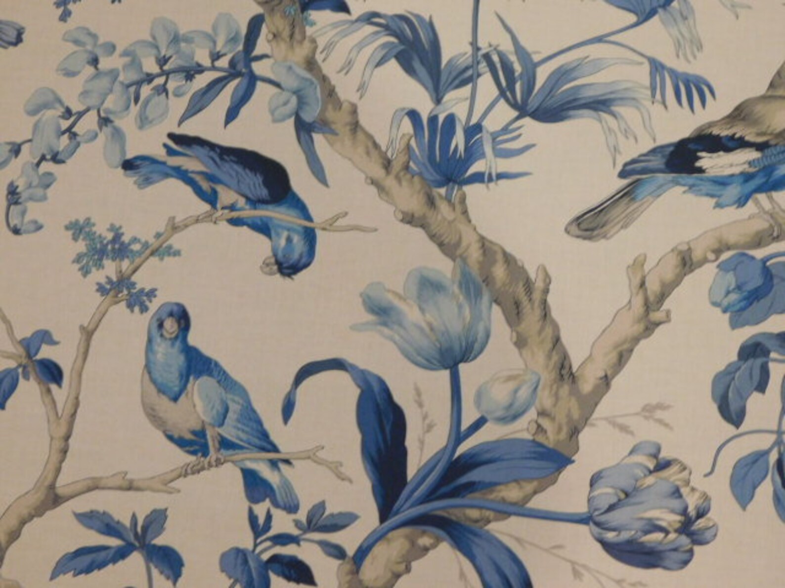 SCALAMANDRE TROPICAL BOTANICAL Birds Toile Fabric 10 Yards Porcelain ...