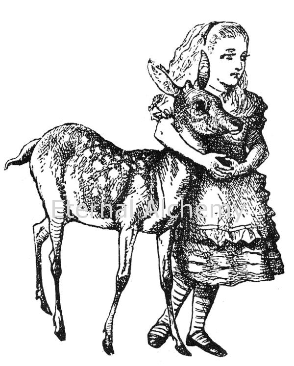 Alice and a Deer Alice Through the Looking Glass Digital Image Instant ...