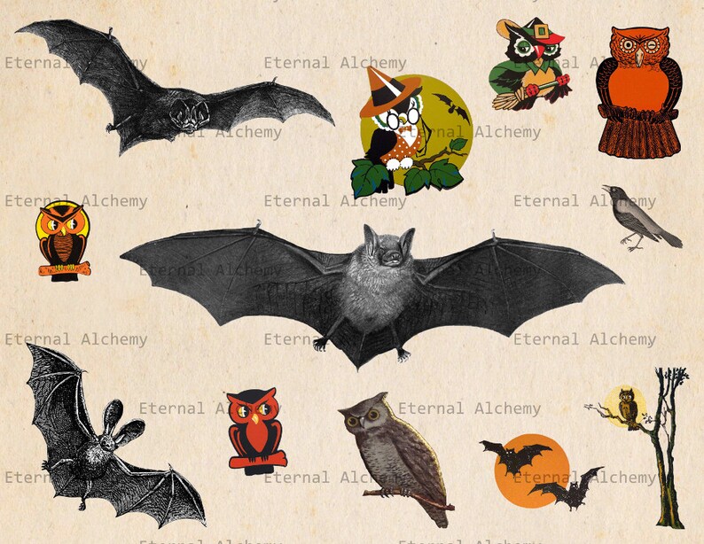 Vintage Halloween Images Bats Owls and Crows Set 1 12 - Etsy