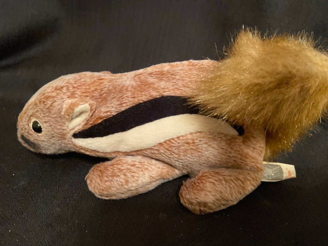 Vintage TY Beanie Baby Squirrel Plush chipper Beanie Babies Stuffed ...