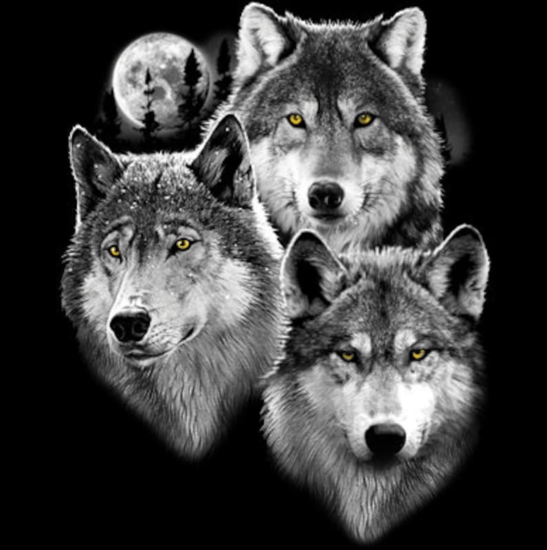 Wolf Pack T-shirt 3 Wolves T-shirt Realistic Wolves Shirt - Etsy