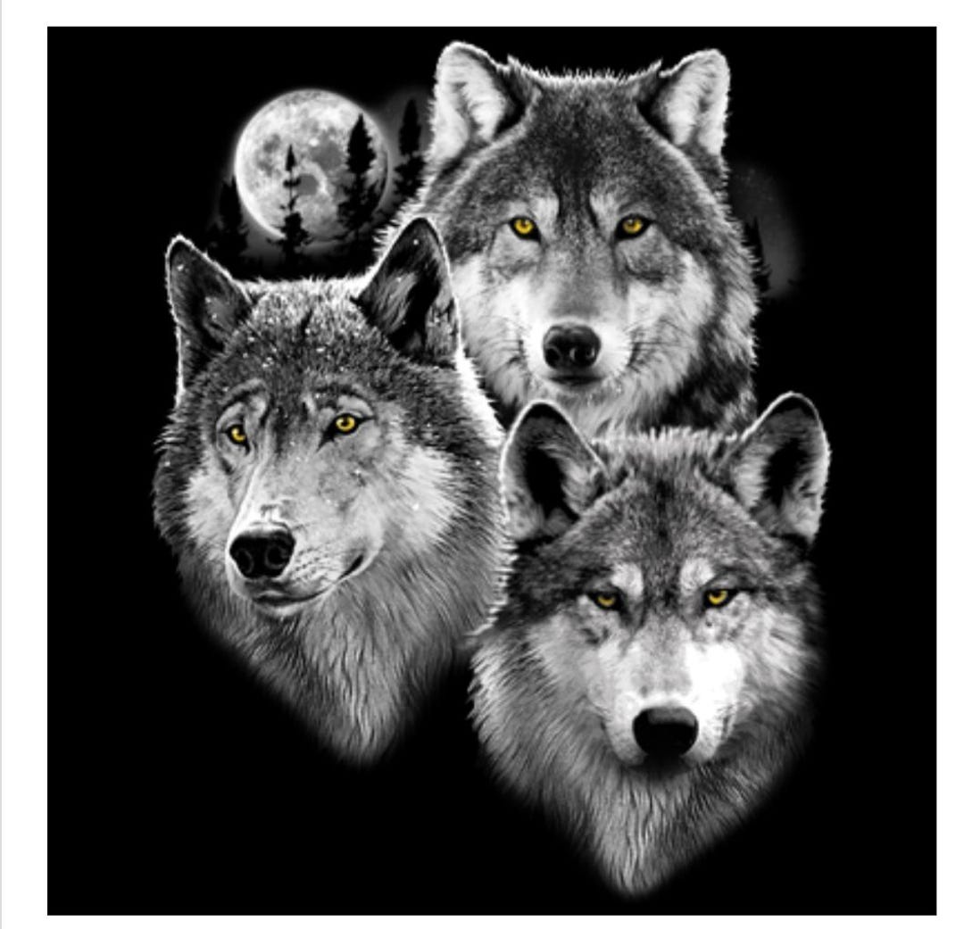 Realistic Wolf Pack Graphic T-shirt - Etsy