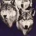 Wolf Pack T-shirt, 3 Wolves T-shirt, Realistic Wolves Shirt, Wolf ...