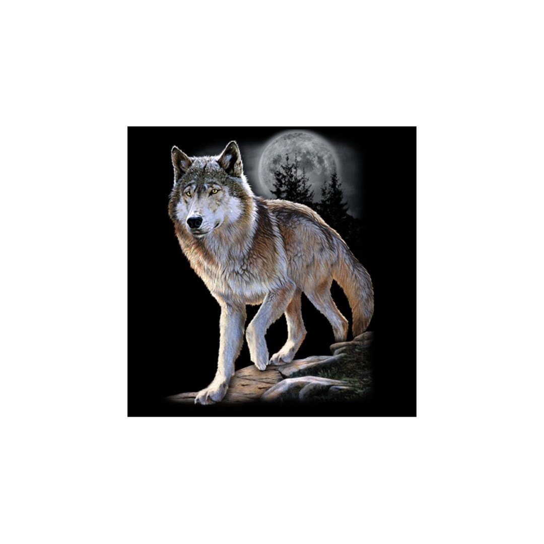 Wolf Pointing Graphic T-shirt, SHARP Wolf Shirt - Etsy