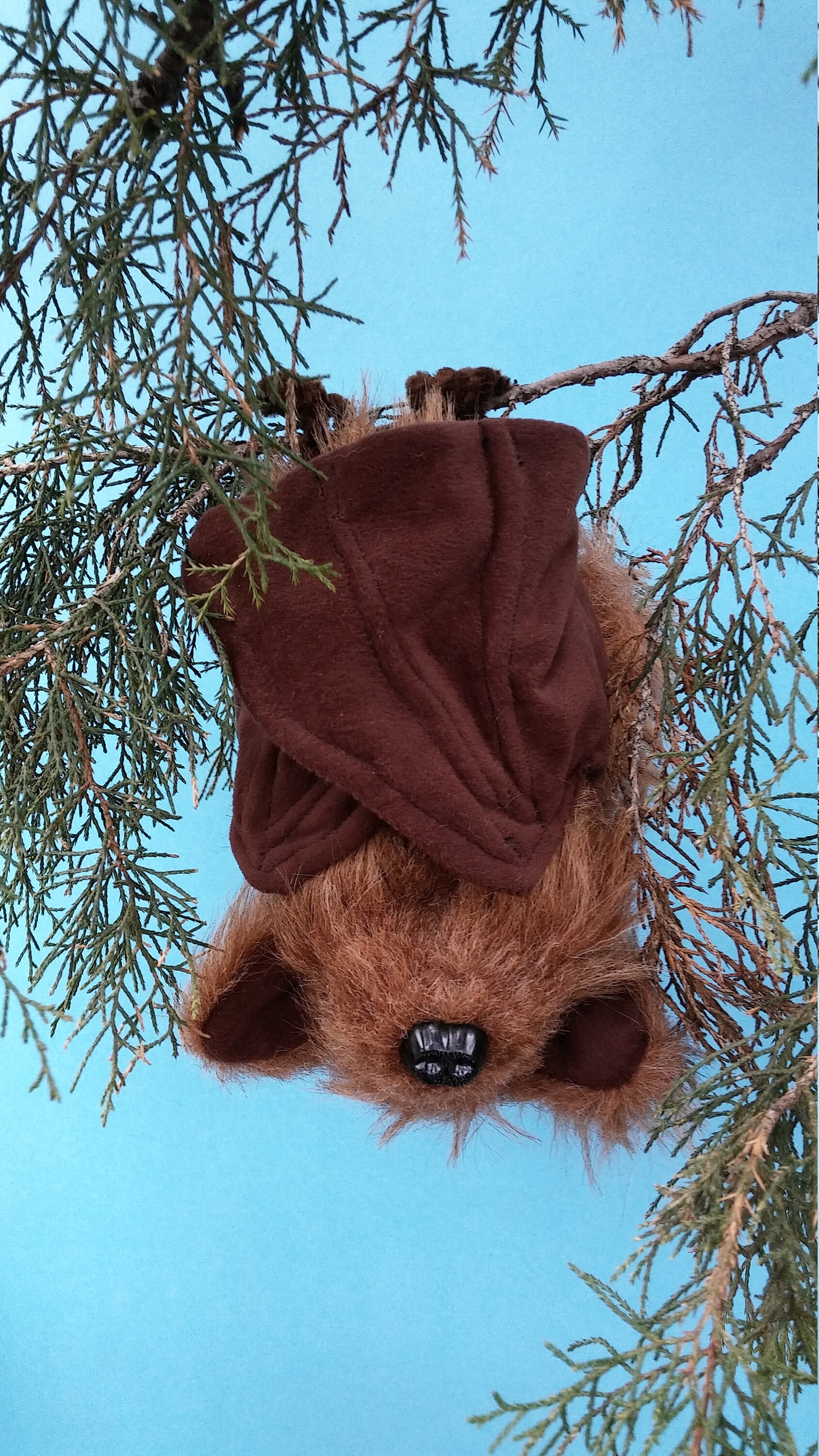 Bat Stuffie Toy Pattern - Etsy