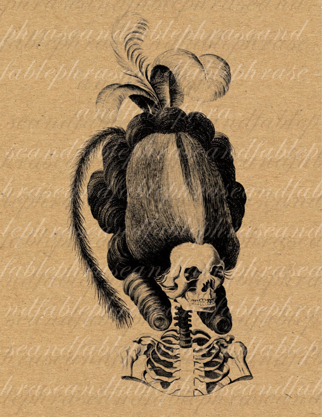 Beautiful Skeleton 047 Digital Image Transfer Clip Art Print Your Own ...