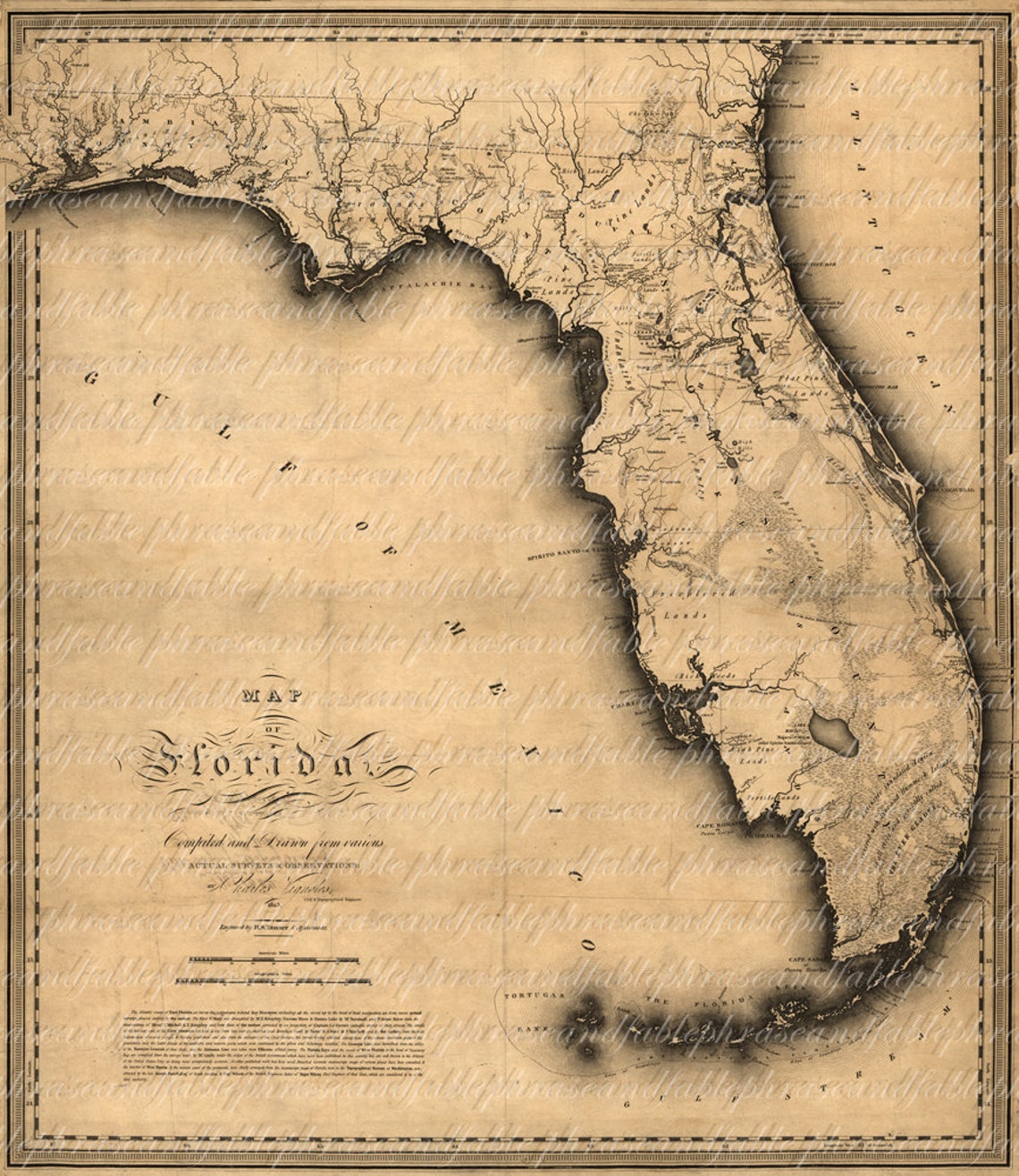 Map of Florida From the 1800s 139 Ancient New World Cartography Digital ...