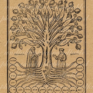 Tree of Knowledge 086 Science Organization Tree Woodcut Phylogeny Genus ...