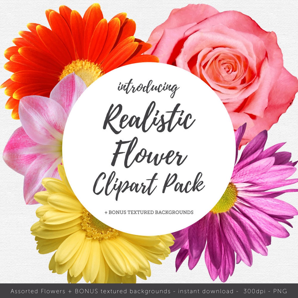 Realistic Flowers Clip Art - Plus Bonus Textured Backgrounds - Rose ...