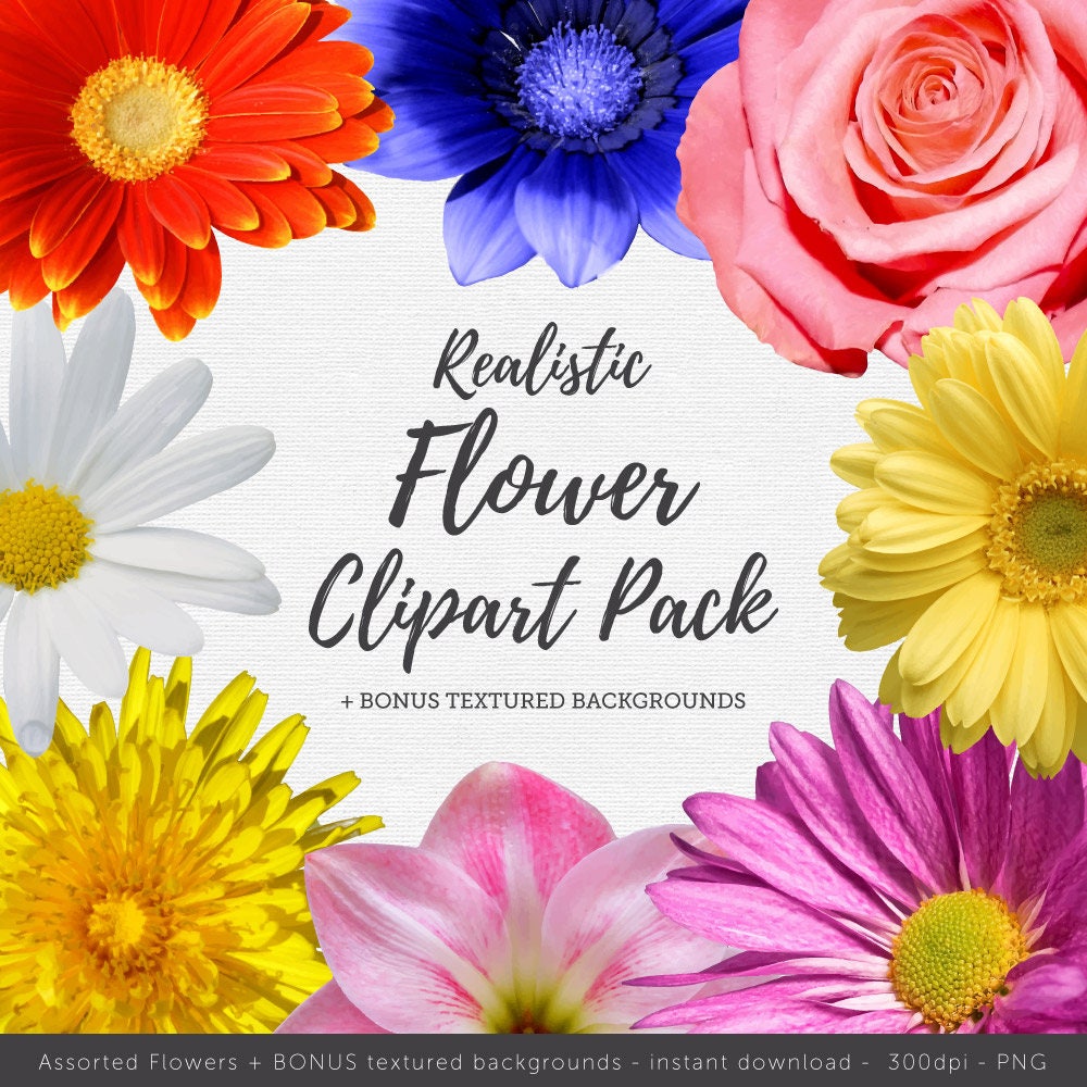 Realistic Flowers Clip Art - Plus Bonus Textured Backgrounds - Rose ...