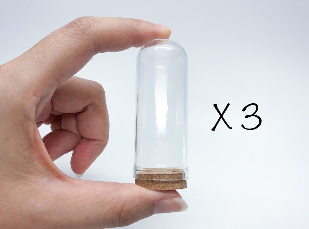3 Pc Miniature Cloche, Curiosity, Empty Insect Taxidermy Cloche With ...