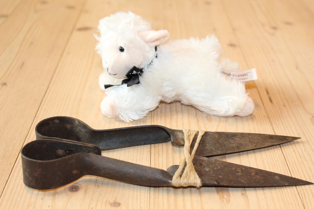 Vintage Sheep Shears Hand Sheep Shears Sheep Scissors Hand Operated ...
