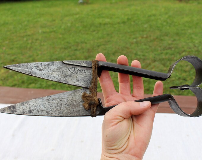 Antique Hand Sheep Shears Combination Sheffield England 1950s Nr 2 Hand ...