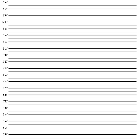 Order ANY Size See Price List Mug Shot Vinyl Photography | Etsy