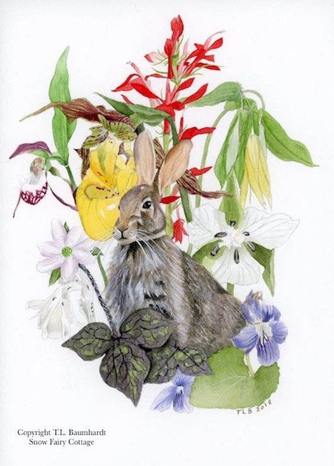 Wildflower Rabbit - Watercolour Art Print (reproduction), Matted, 8 X ...