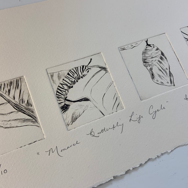 Intaglio - Etsy