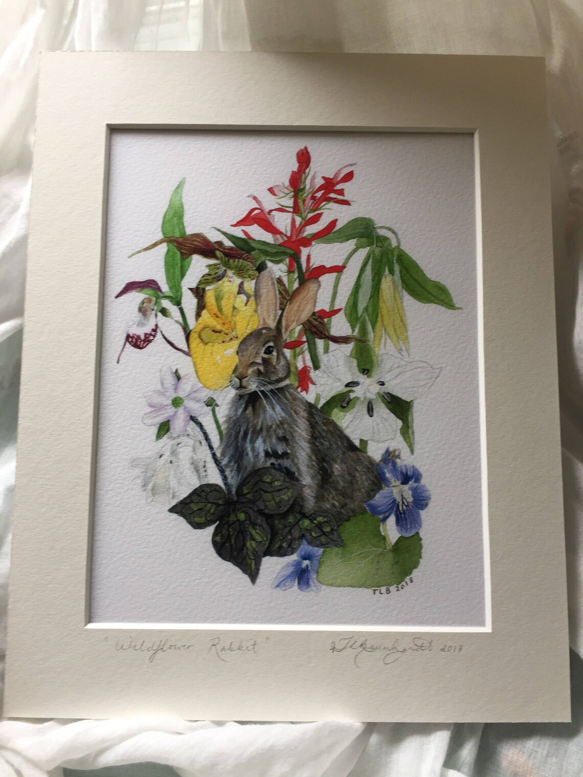 Wildflower Rabbit - Watercolour Art Print (reproduction), Matted, 8 X ...