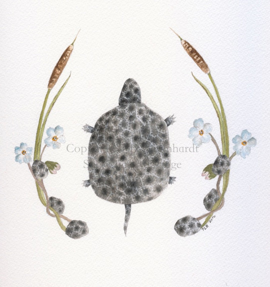 Petoskey Stone Turtle - Art Print (reproduction), 5 X 7 Inches, Matted ...