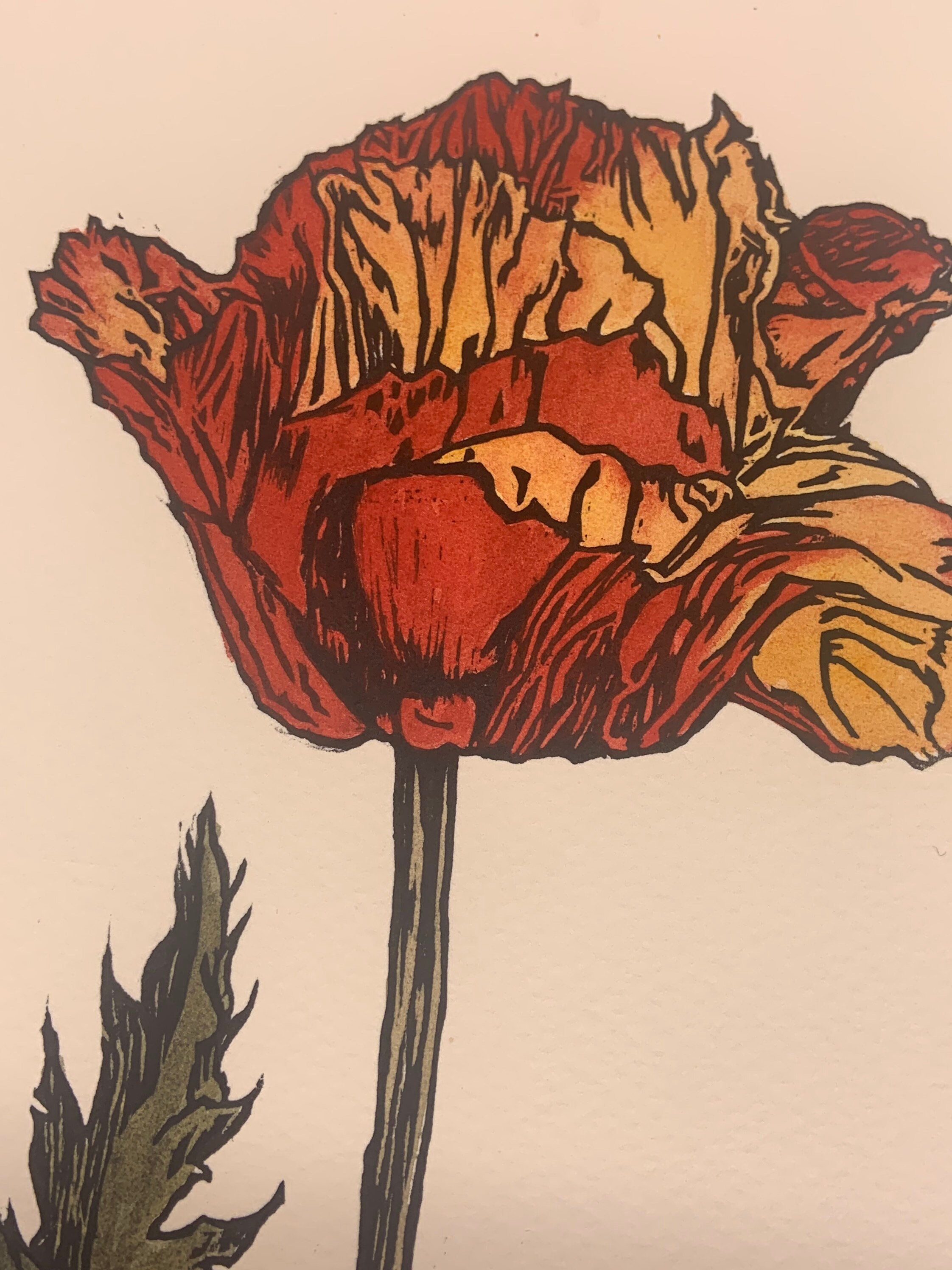 Poppy Woodcut Limited Edition, Hand-coloured Print - Etsy