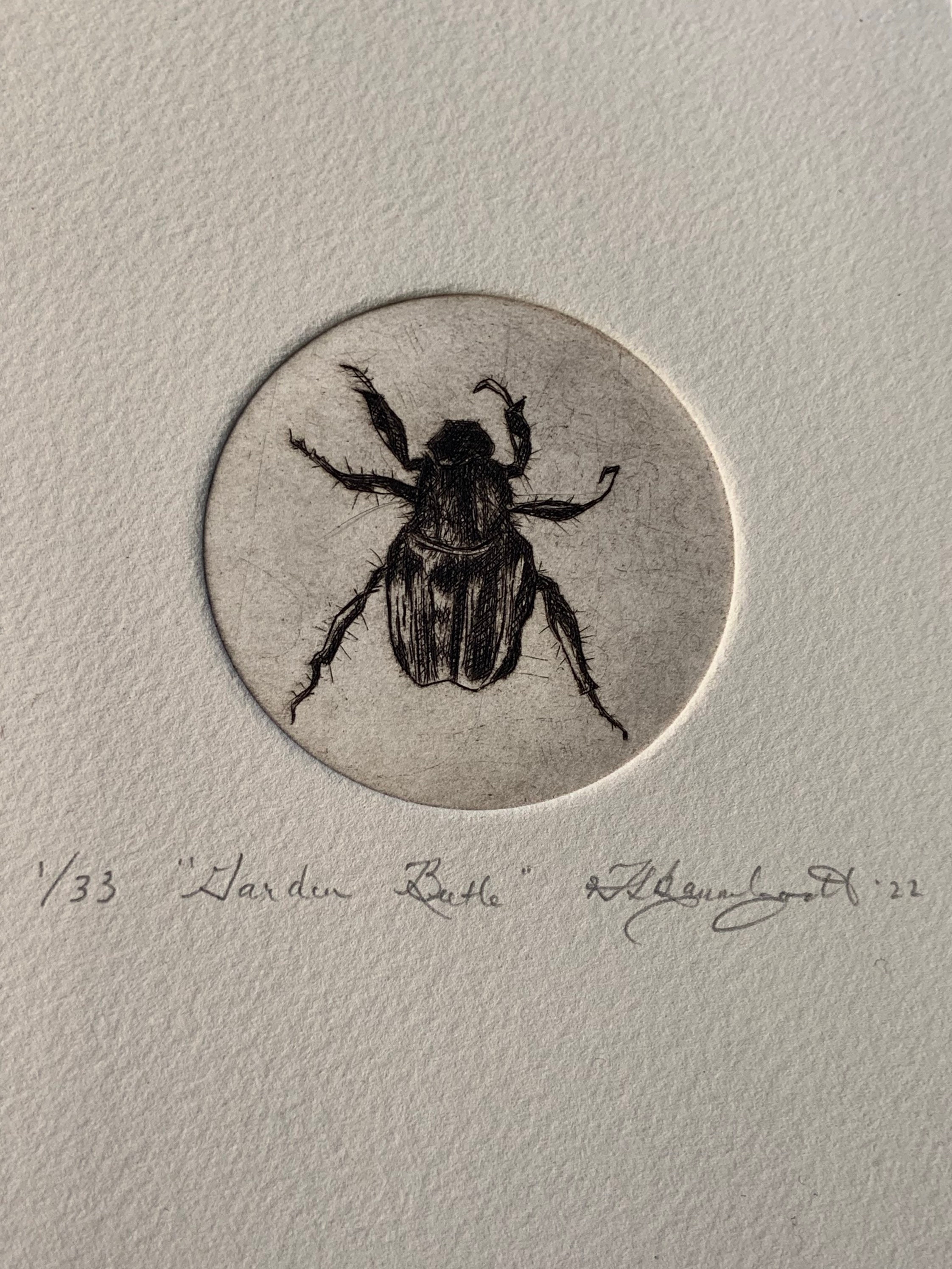Garden Beetle - Limited Edition Intaglio Print, Hand-engraved - Etsy