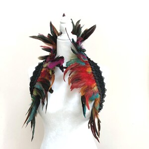 Feather Cape Carnival Costume Bird Costumesteampunk Cape - Etsy