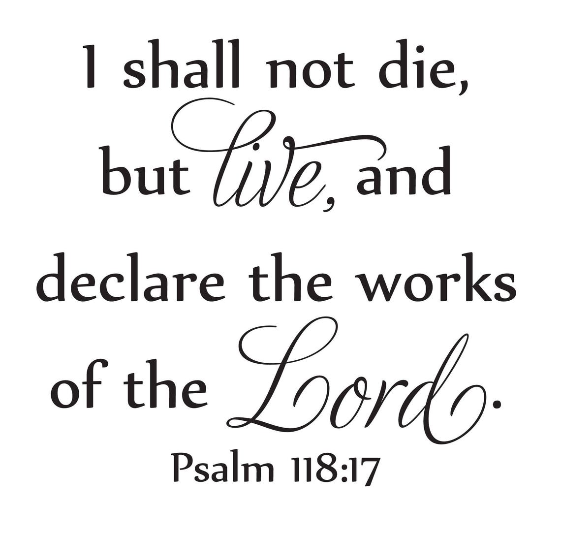 Vinyl Wall Art Decal Psalm 118:17 i Shall Not Die - Etsy UK